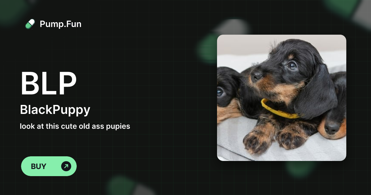 BlackPuppy (BLP) - Pump