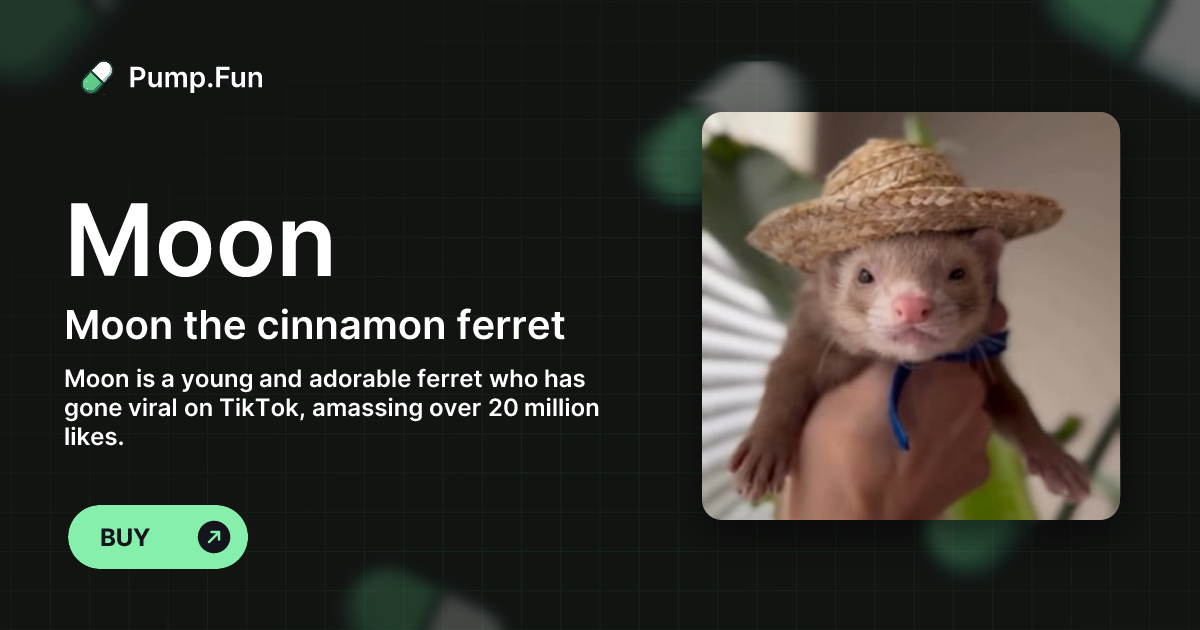 Moon the cinnamon ferret (Moon) - Pump