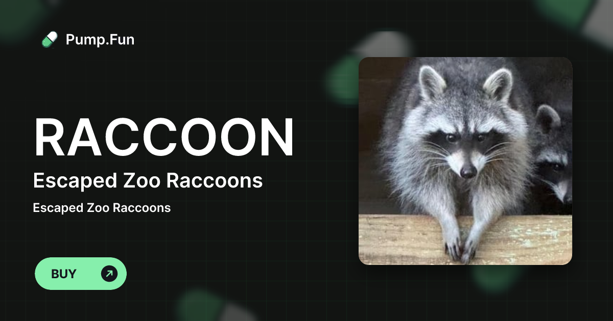 Escaped Zoo Raccoons (RACCOON) - Pump