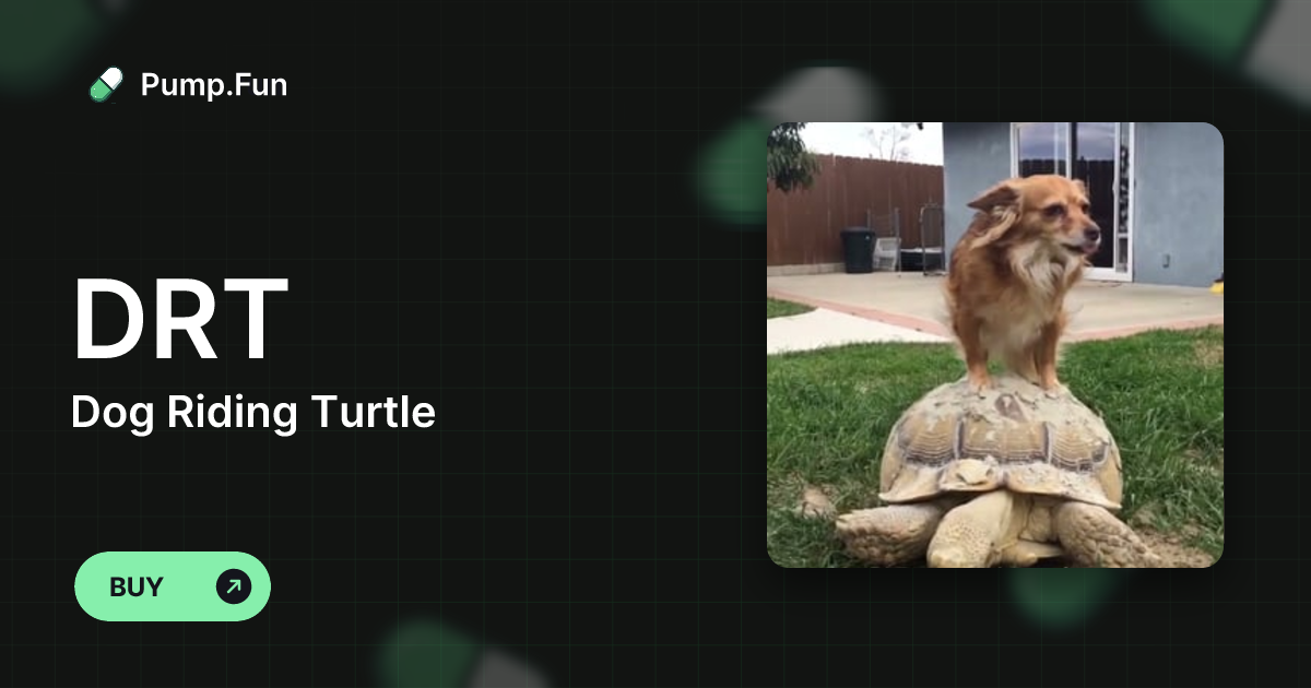 Dog Riding Turtle (DRT) - Pump