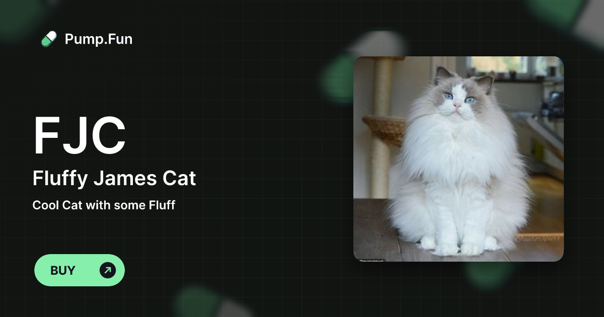 Fluffy James Cat (FJC) - Pump