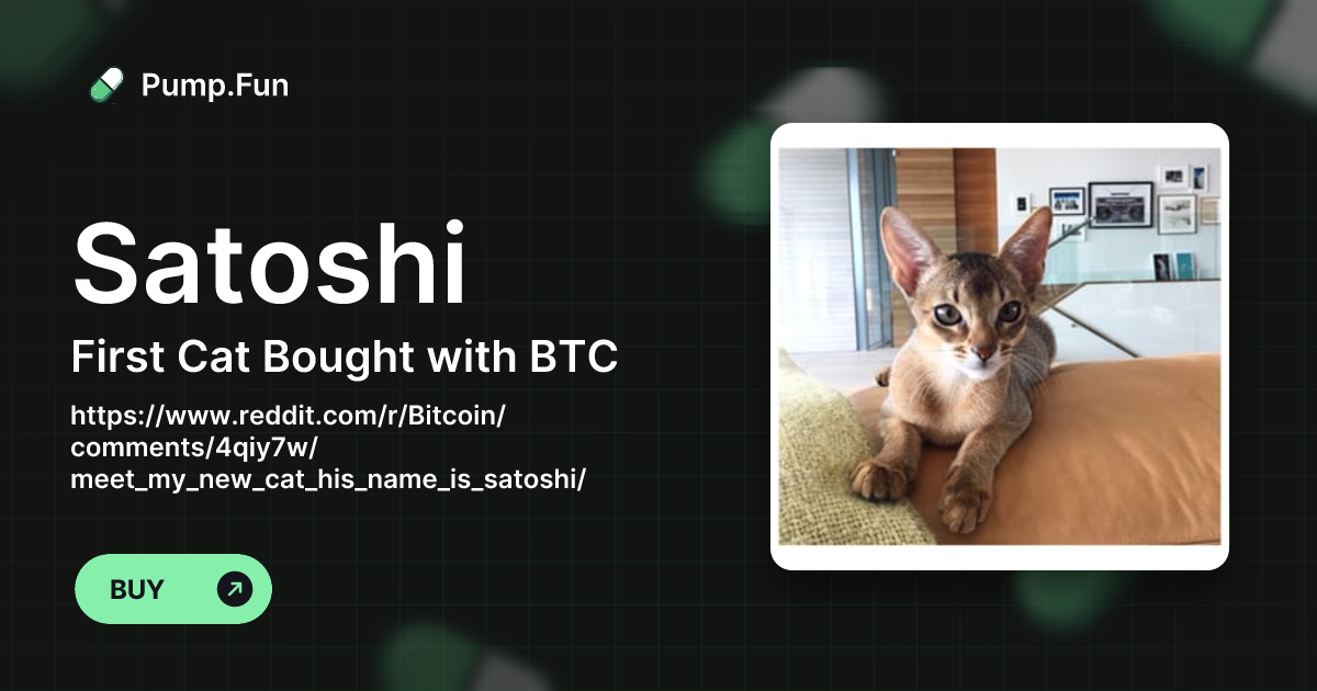 First Cat Bought with BTC (Satoshi) - Pump