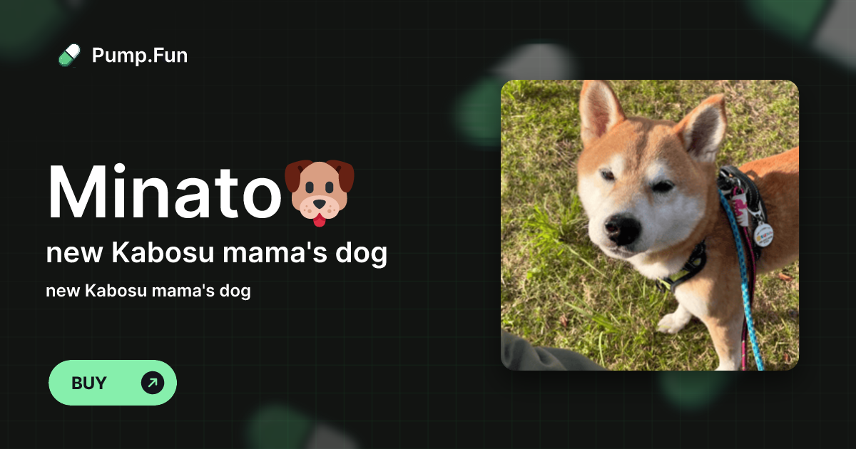 new Kabosu mama's dog (Minato🐶) - Pump