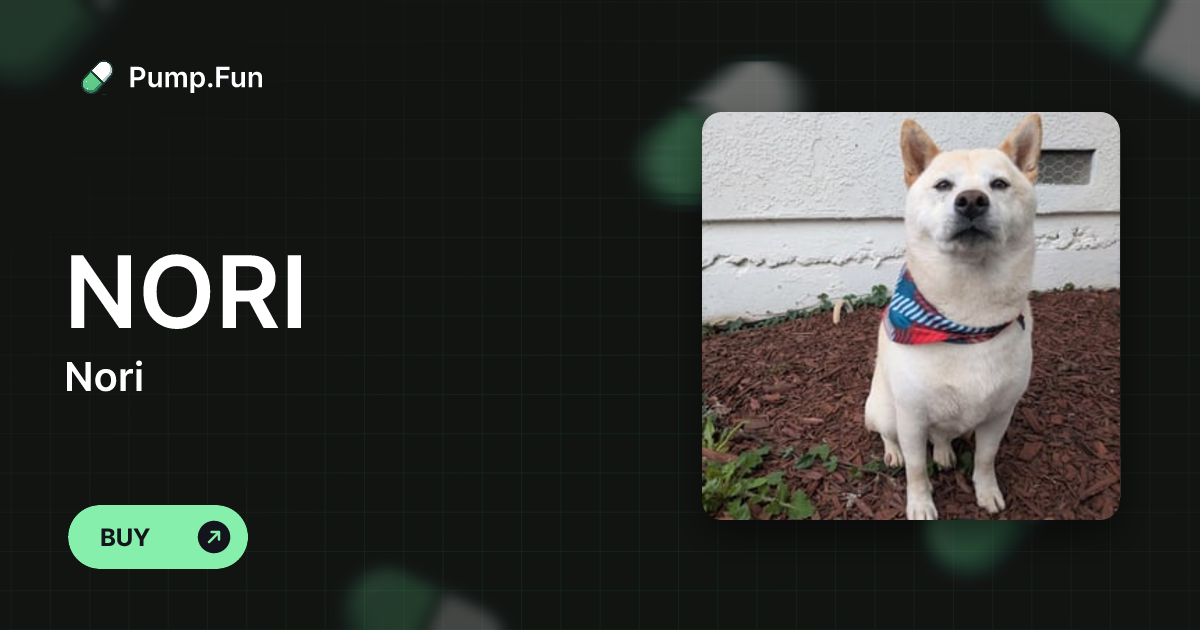 Nori (NORI) - Pump