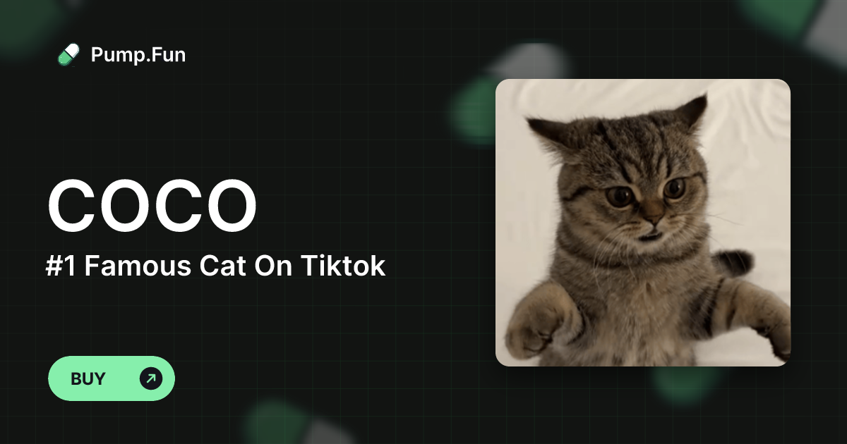 #1 Famous Cat On Tiktok (COCO) - Pump