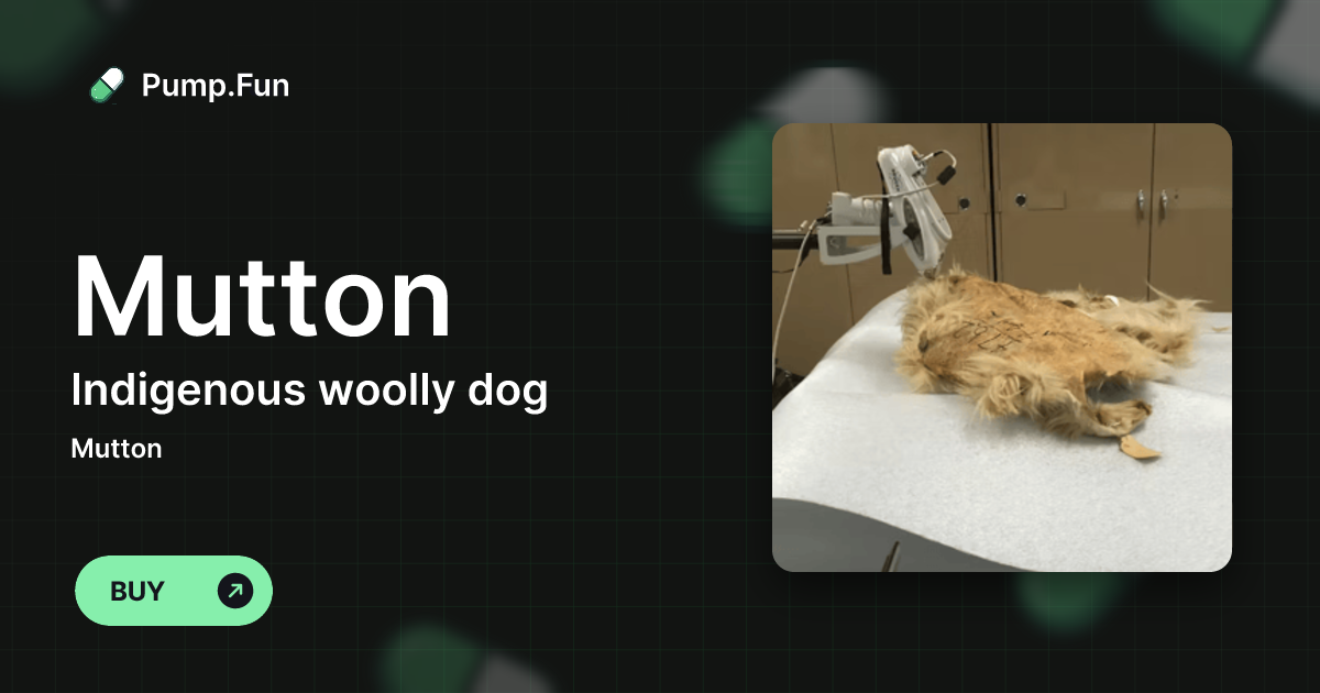 Indigenous woolly dog (Mutton) - Pump