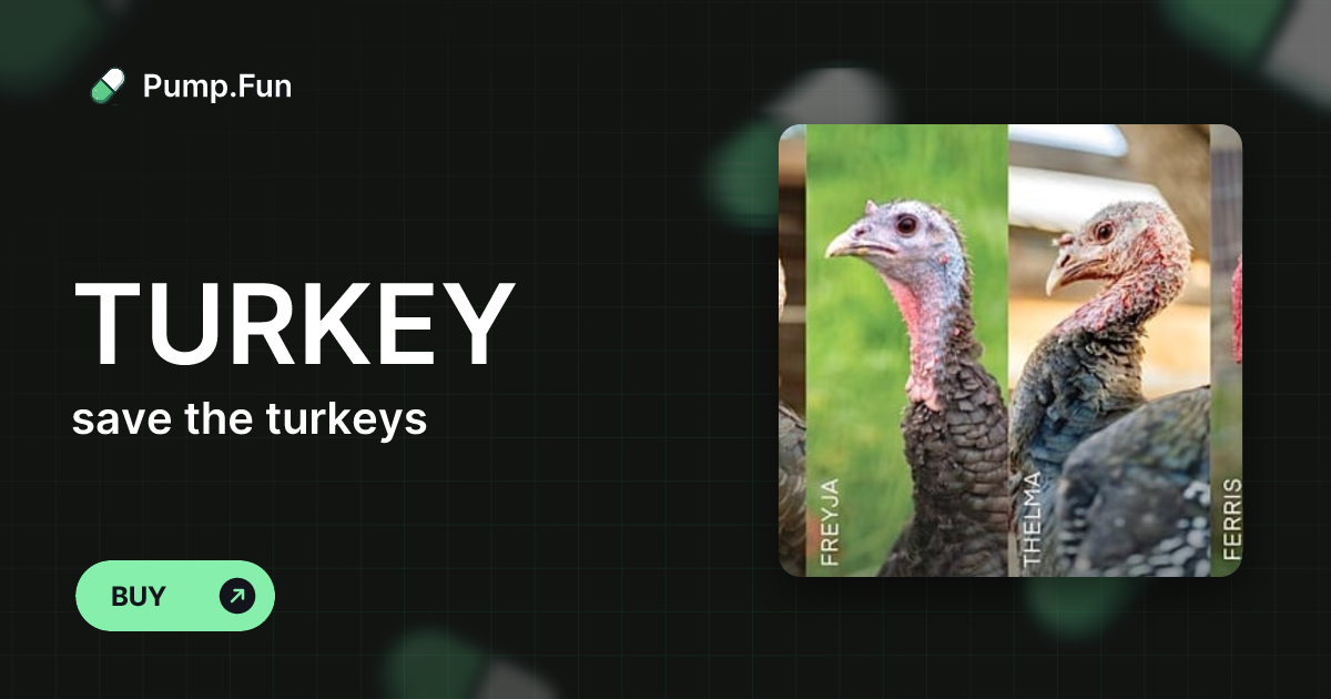 save the turkeys (TURKEY) - Pump