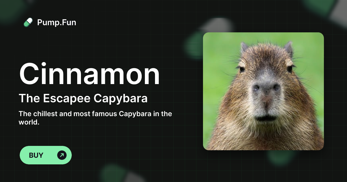 The Escapee Capybara (Cinnamon) - Pump
