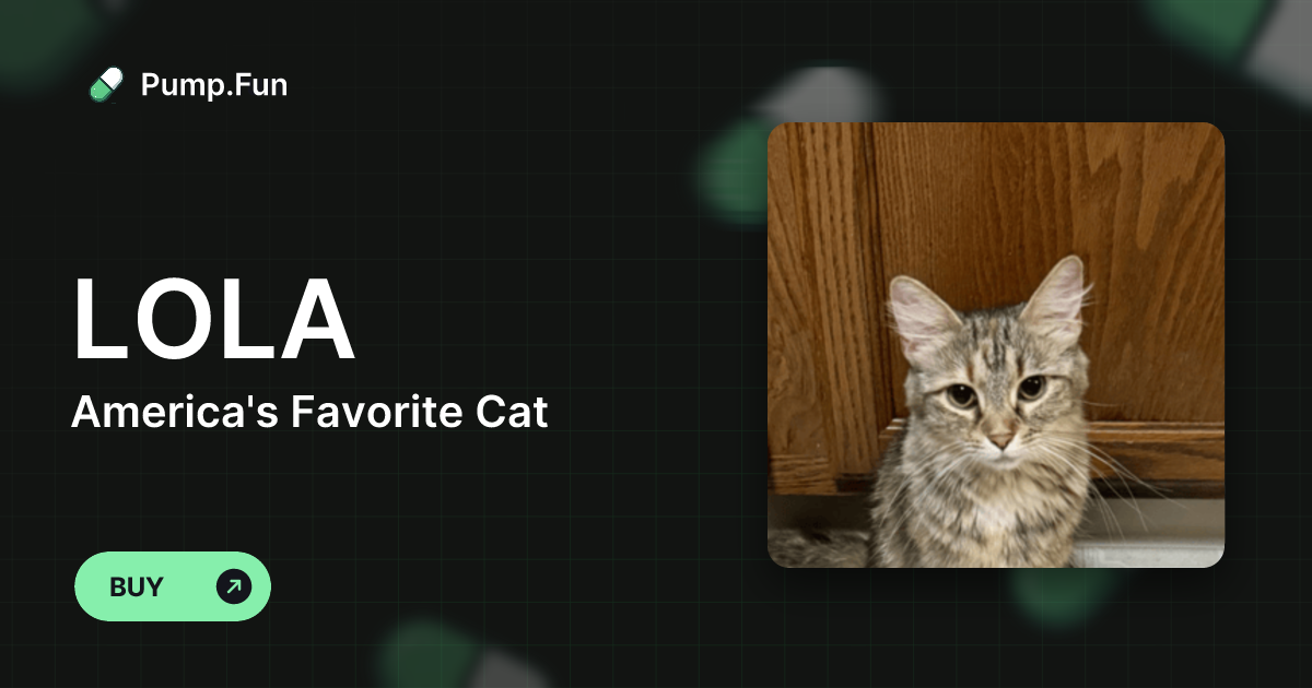 America's Favorite Cat (LOLA) - Pump