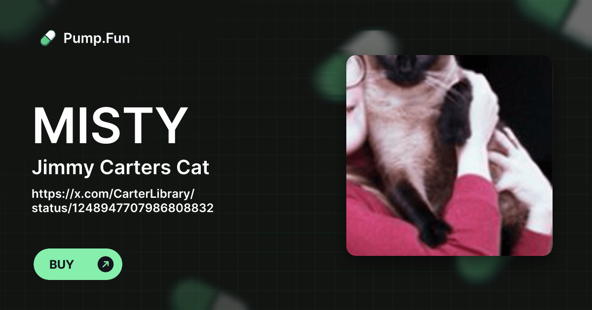 Jimmy Carters Cat (MISTY) - Pump