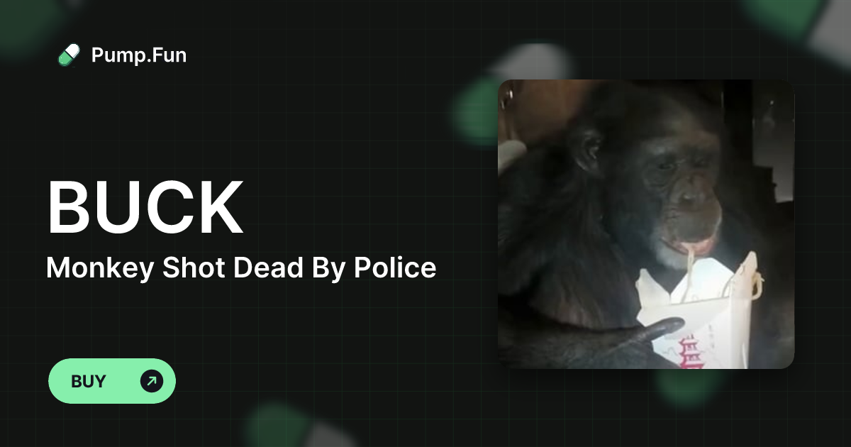 Monkey Shot Dead By Police (BUCK) - Pump