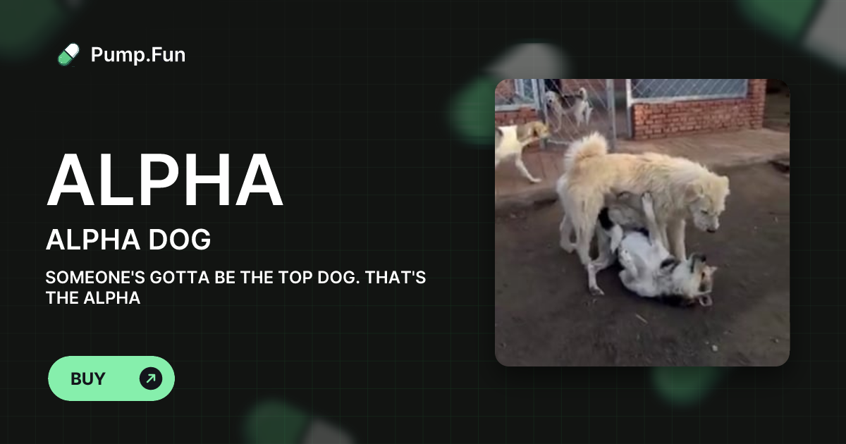 ALPHA DOG (ALPHA) - Pump