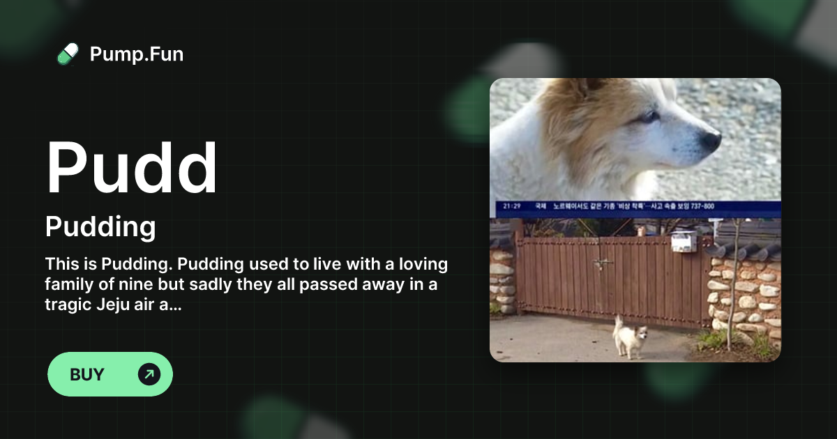 Pudding (Pudd) - Pump