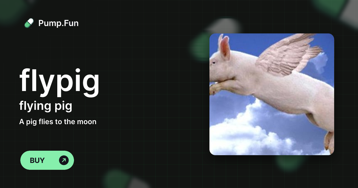 flying pig (flypig) - Pump