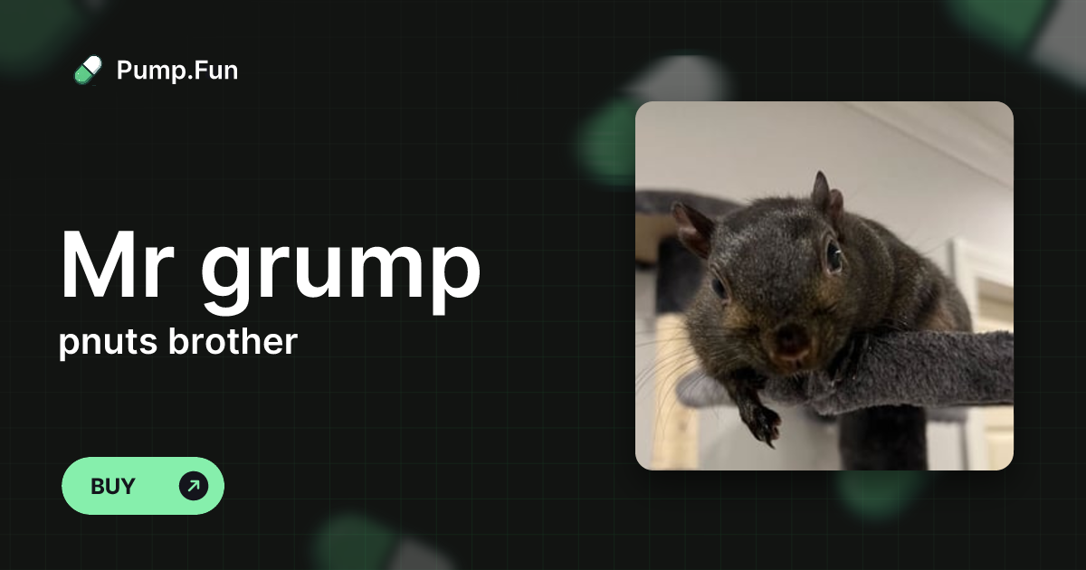 pnuts brother (Mr grump) - Pump