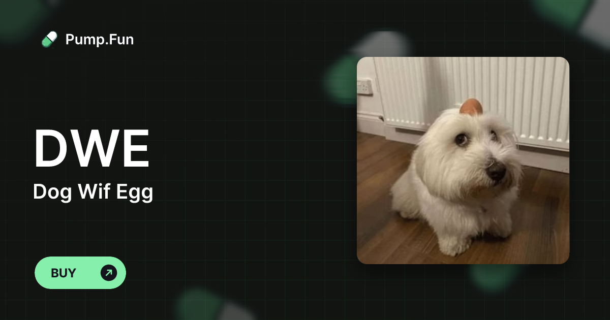 Dog Wif Egg (DWE) - Pump