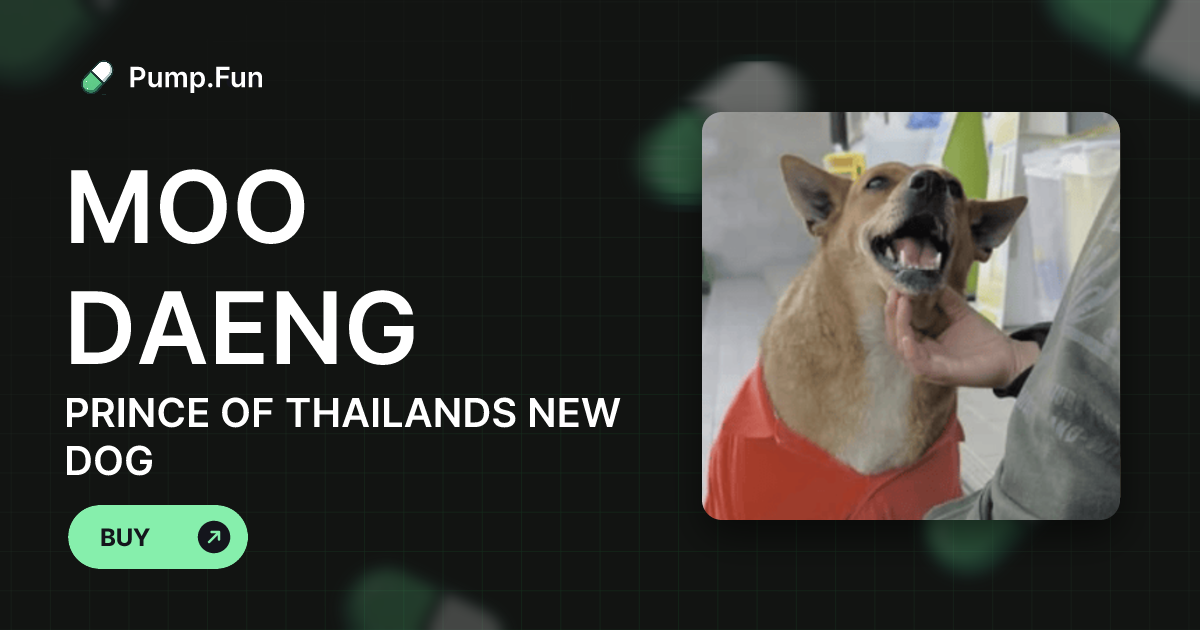 PRINCE OF THAILANDS NEW DOG (MOO DAENG) - Pump