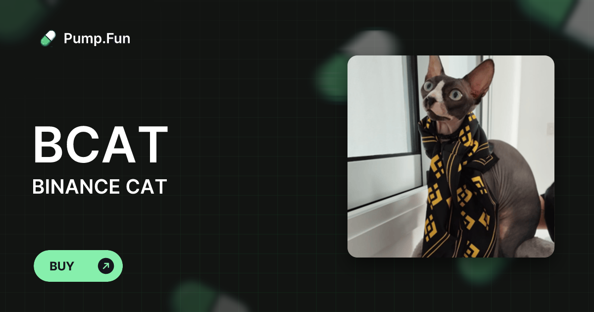 BINANCE CAT (BCAT) - Pump