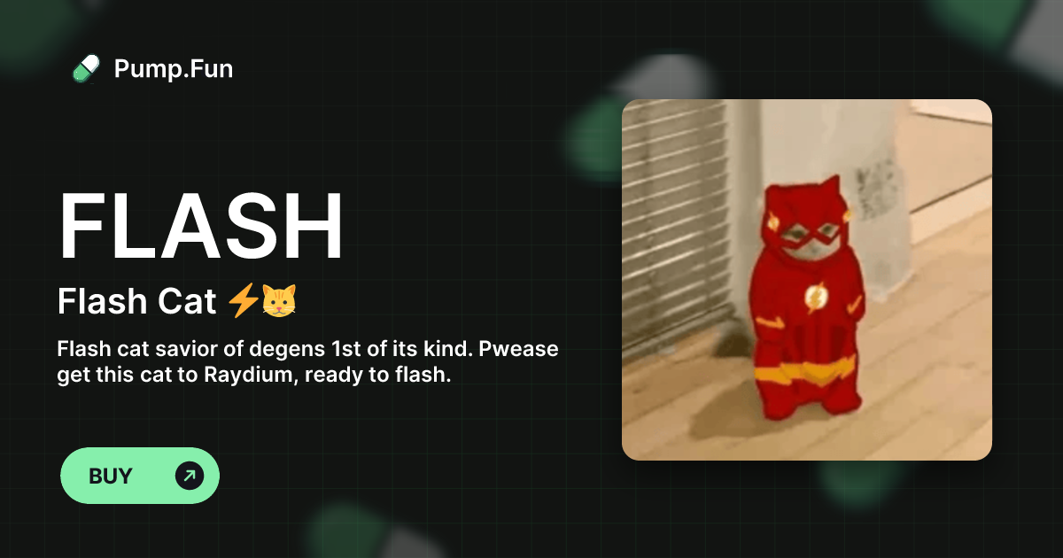 Flash Cat ⚡🐱 (FLASH) - Pump
