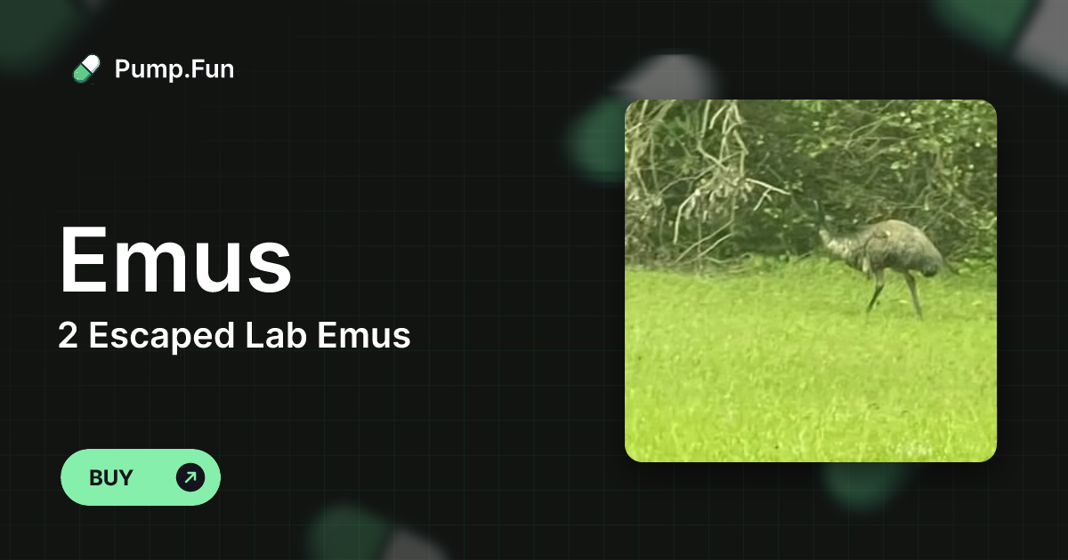 2 Escaped Lab Emus (Emus) - Pump
