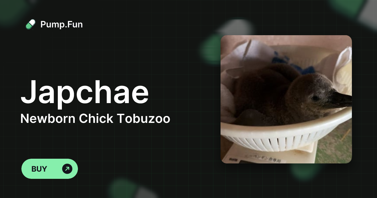 Newborn Chick Tobuzoo (Japchae) - Pump