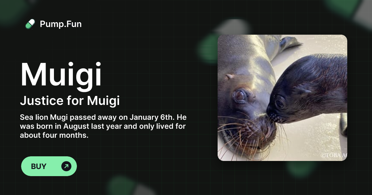 Justice for Muigi (Muigi) - Pump