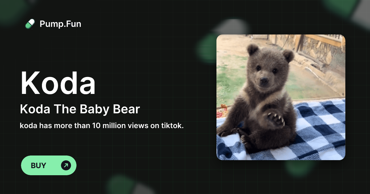 Koda The Baby Bear (Koda) - Pump