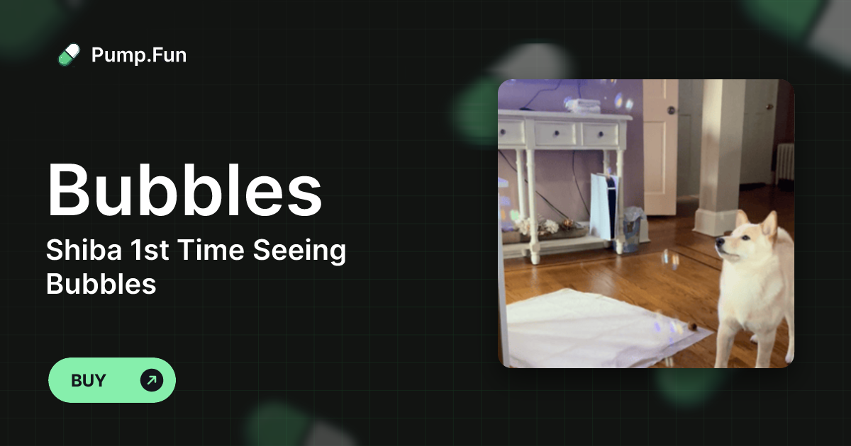 Shiba 1st Time Seeing Bubbles (Bubbles) - Pump