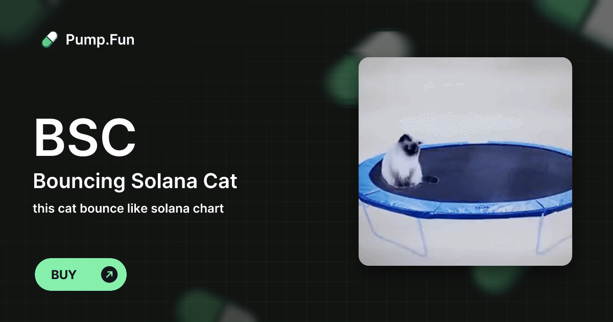 Bouncing Solana Cat (BSC) - Pump