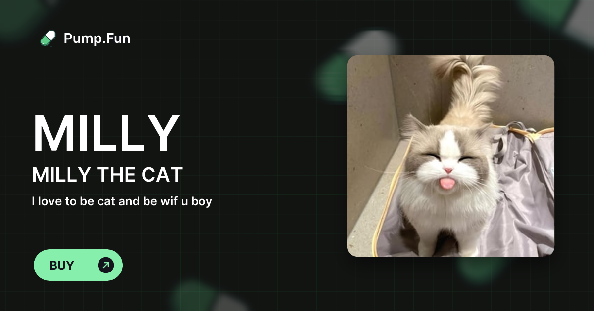 MILLY THE CAT (MILLY) - Pump