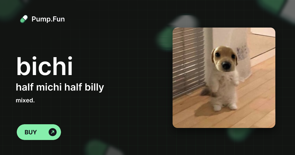 half michi half billy (bichi) - Pump