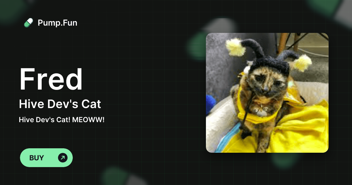 Hive Dev's Cat (Fred) - Pump