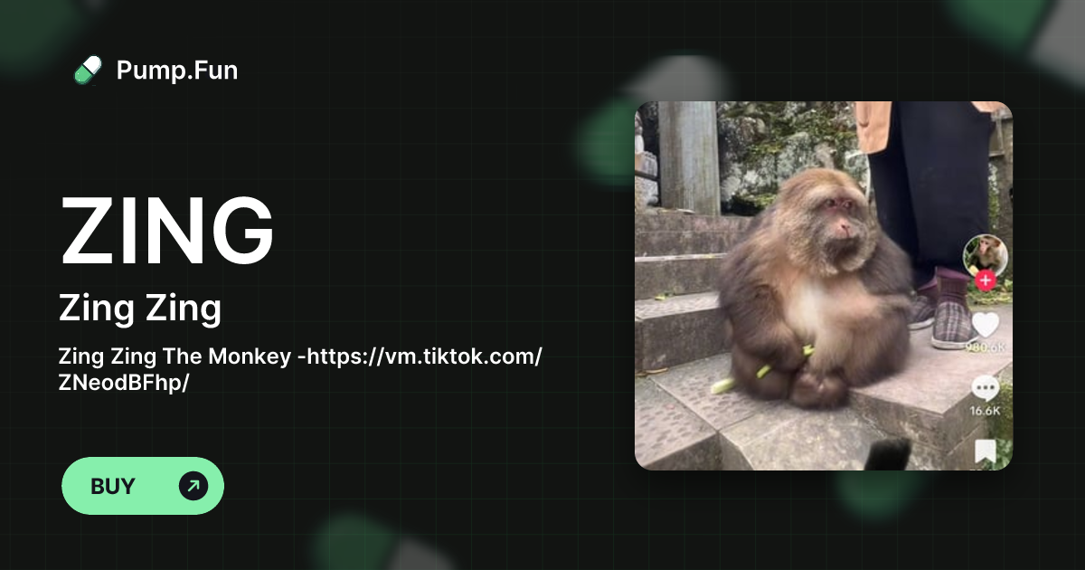 Zing Zing (ZING) - Pump