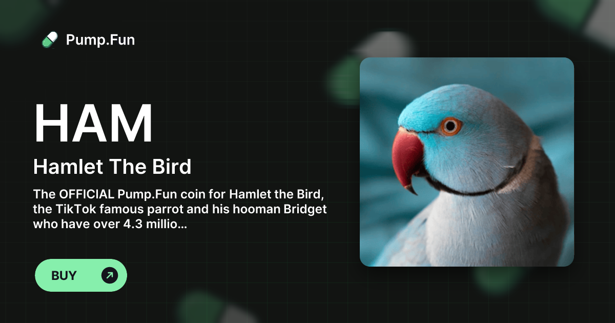 Hamlet The Bird (HAM) - Pump