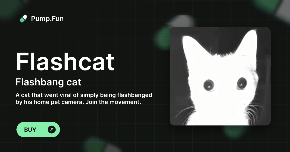 Flashbang cat (Flashcat) - Pump
