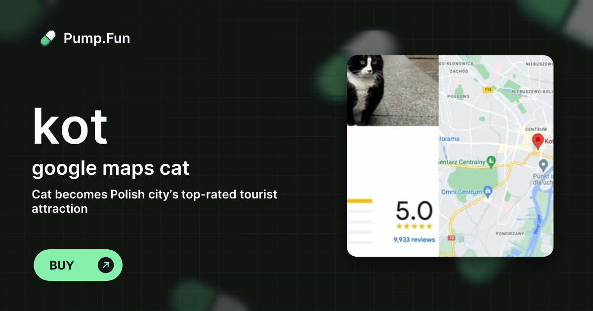 google maps cat (kot) - Pump