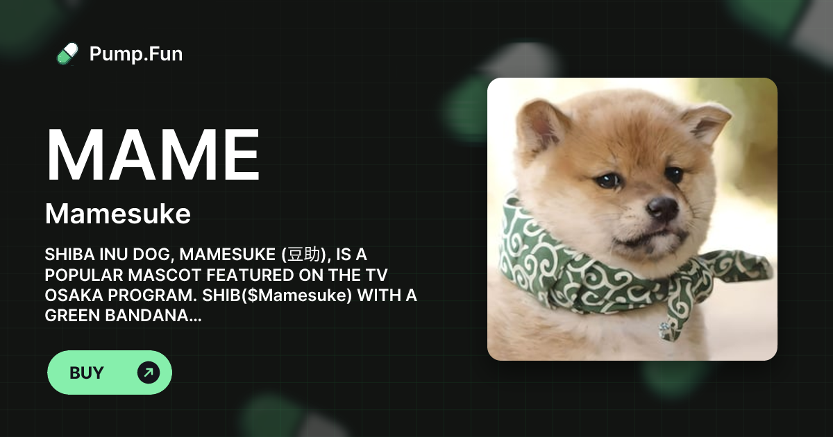 Mamesuke (MAME) - Pump