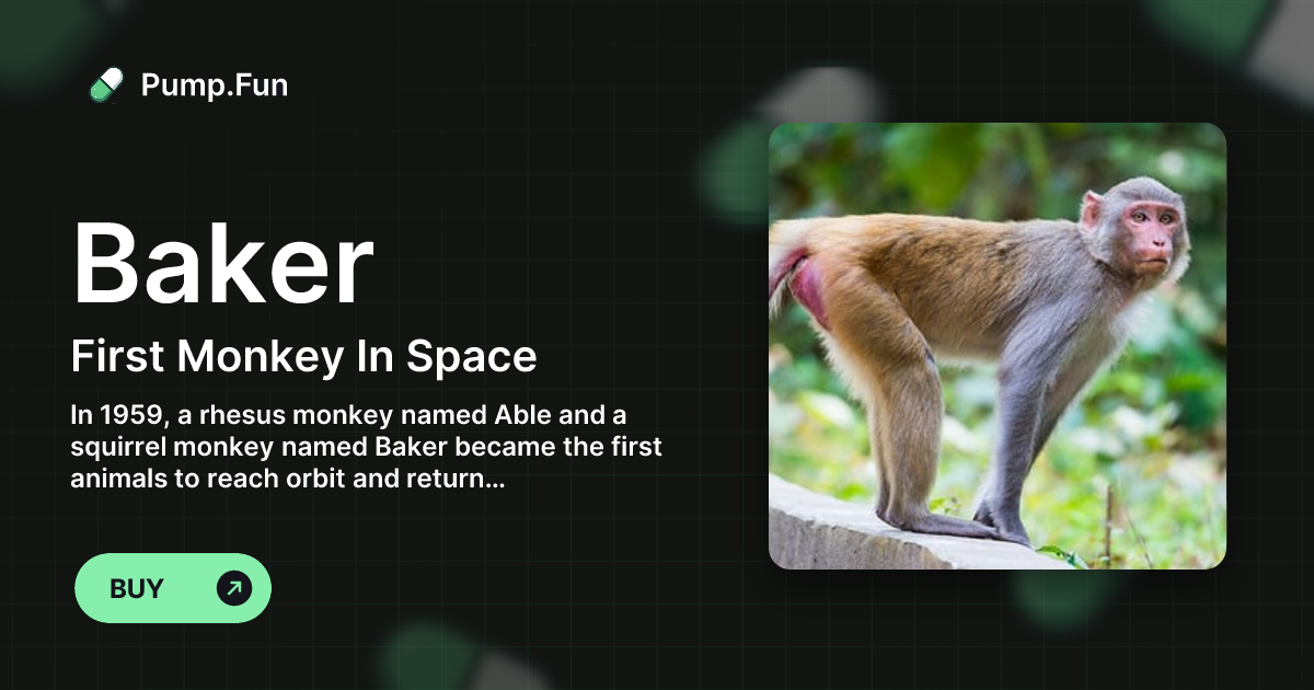 First Monkey In Space (Baker) - Pump
