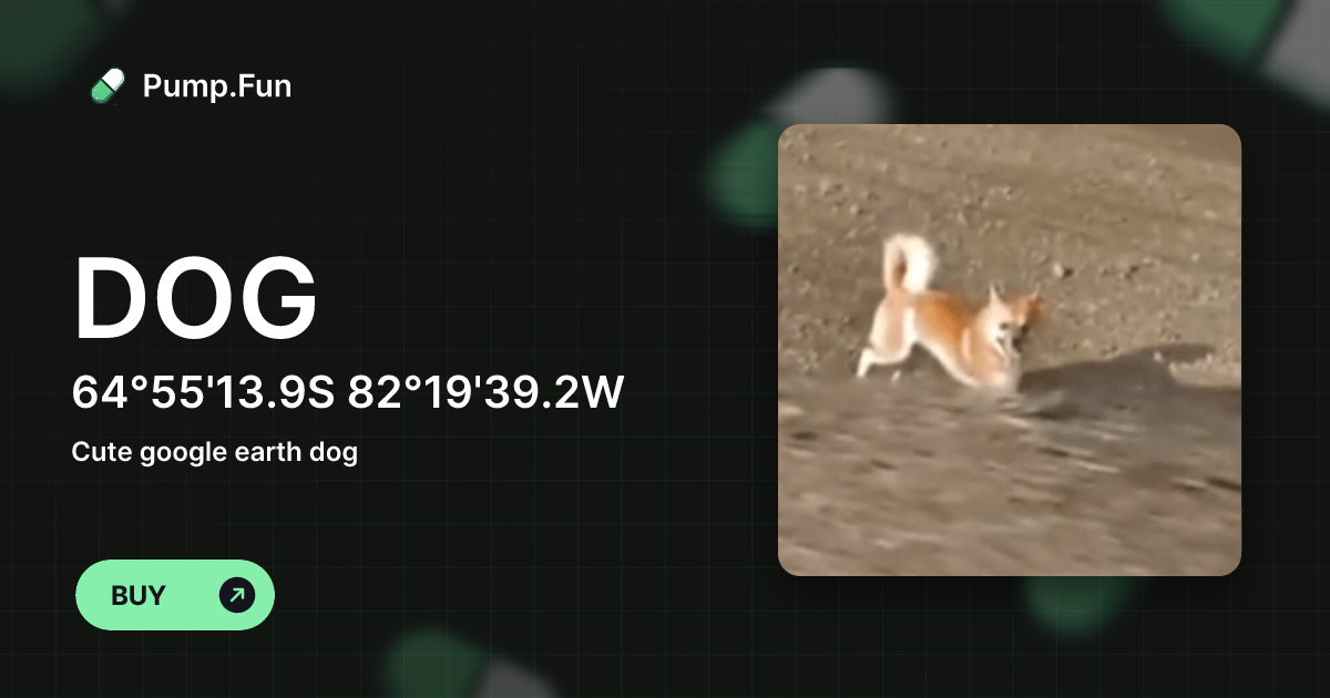 64°55'13.9S 82°19'39.2W (DOG) - Pump