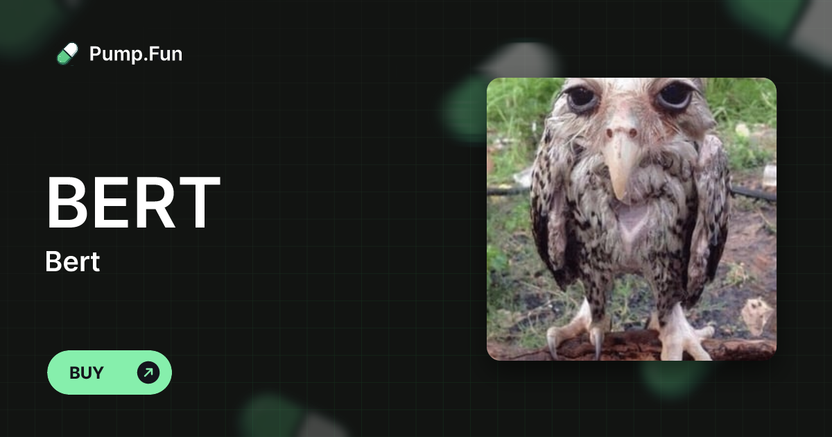 Bert (BERT) - Pump