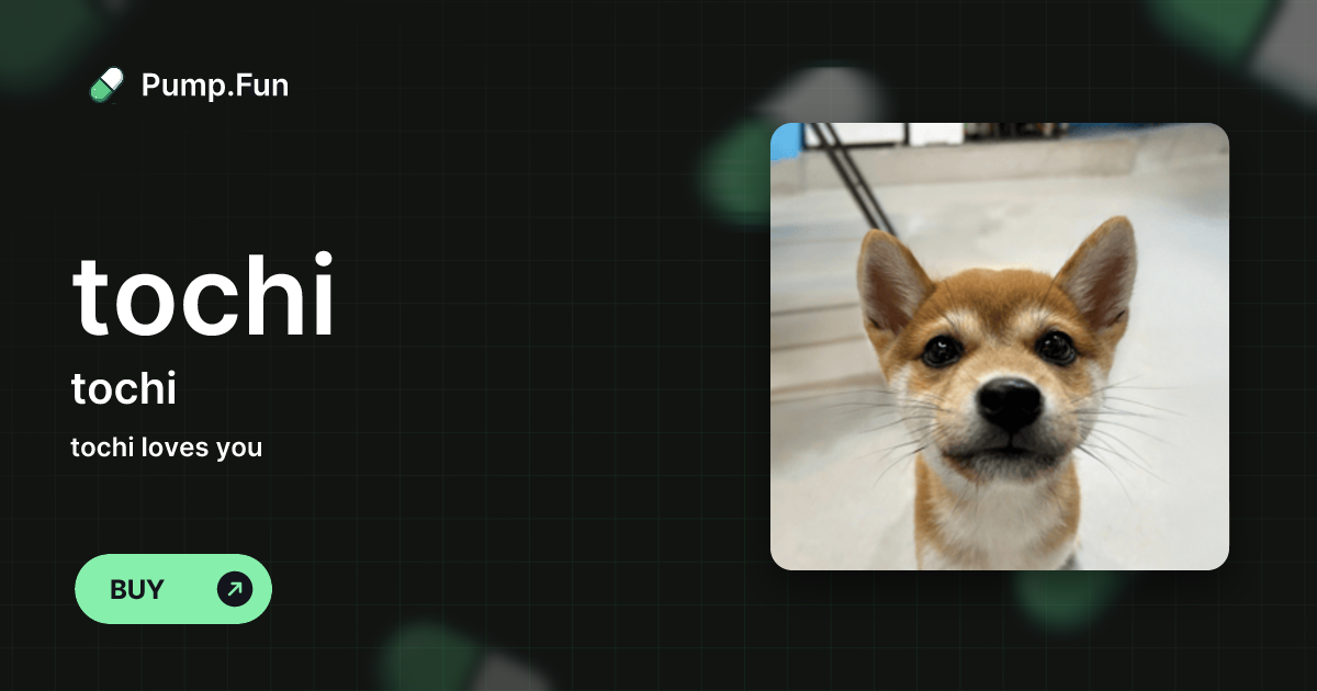 tochi (tochi) - Pump