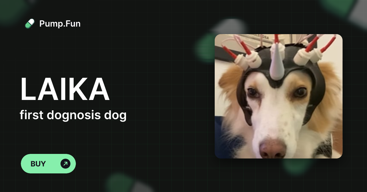 first dognosis dog (LAIKA) - Pump