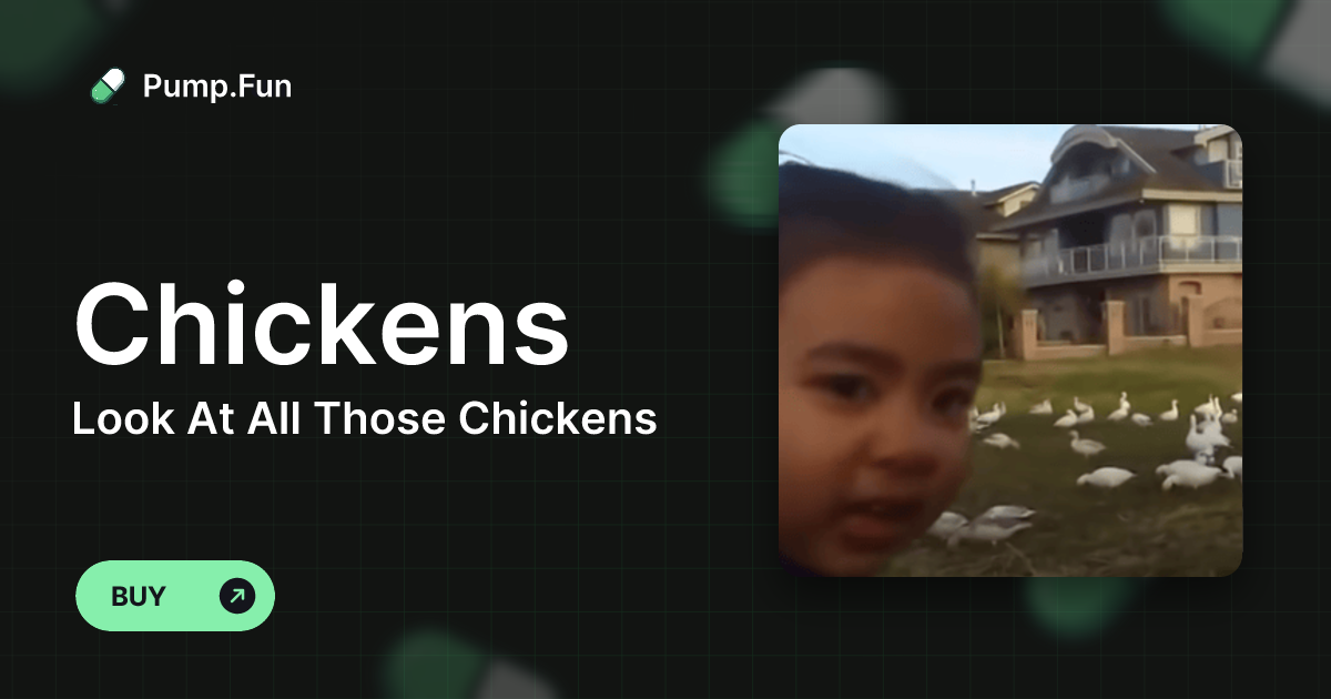 Look At All Those Chickens (Chickens) - Pump
