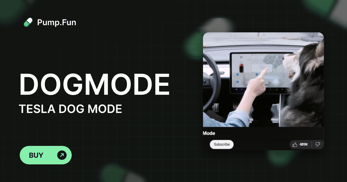 TESLA DOG MODE (DOGMODE) - Pump