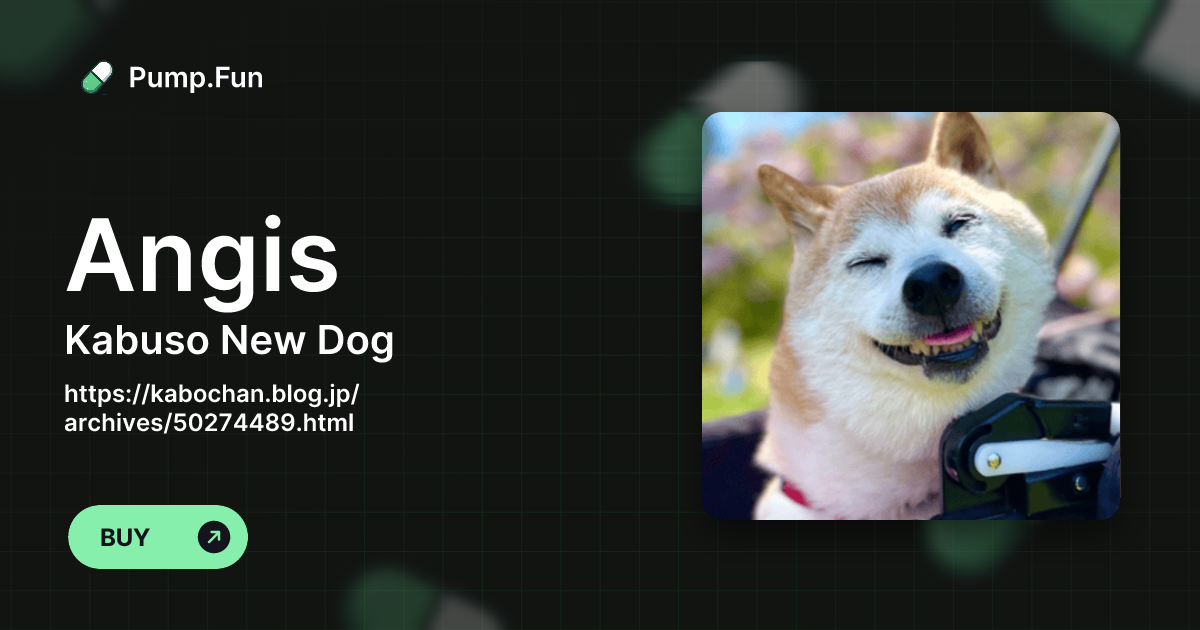 Kabuso New Dog (Angis) - Pump