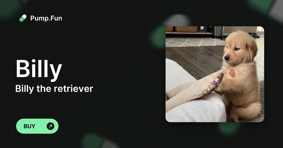 Billy the retriever (Billy) - Pump