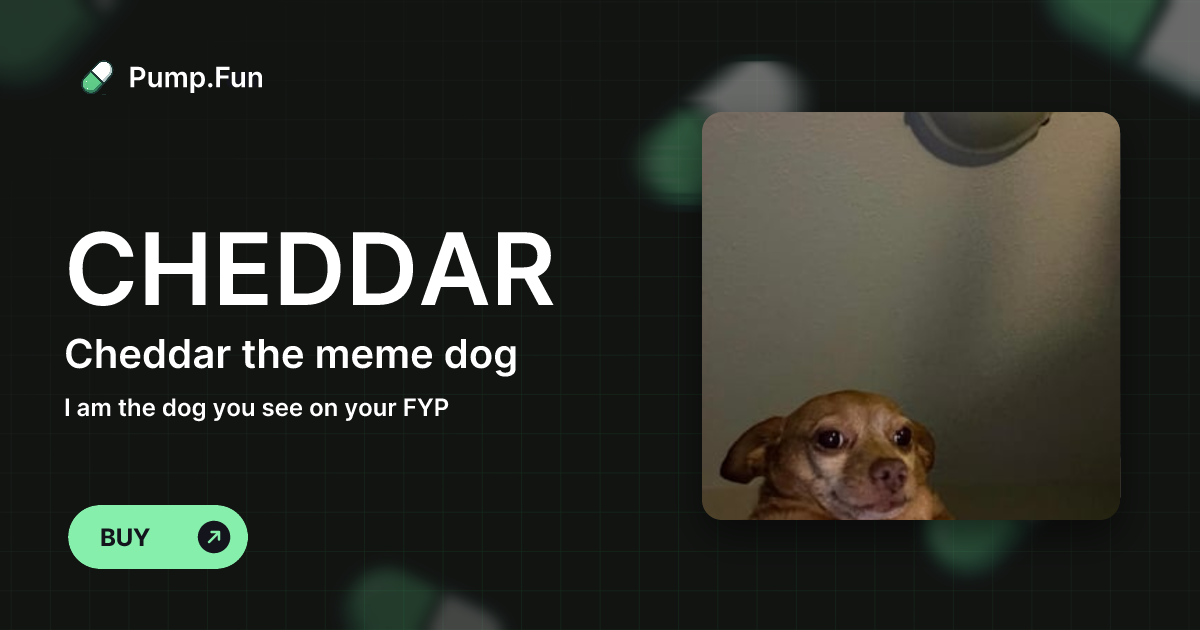 Cheddar the meme dog (CHEDDAR) - Pump