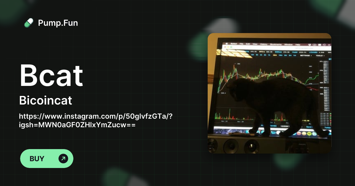 Bicoincat (Bcat) - Pump