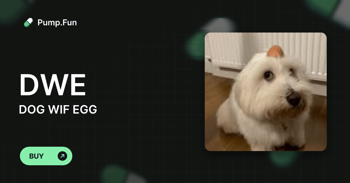 DOG WIF EGG (DWE) - Pump