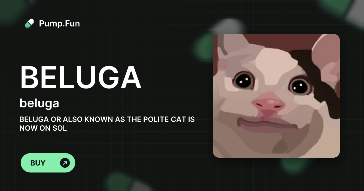 beluga (BELUGA ) - Pump